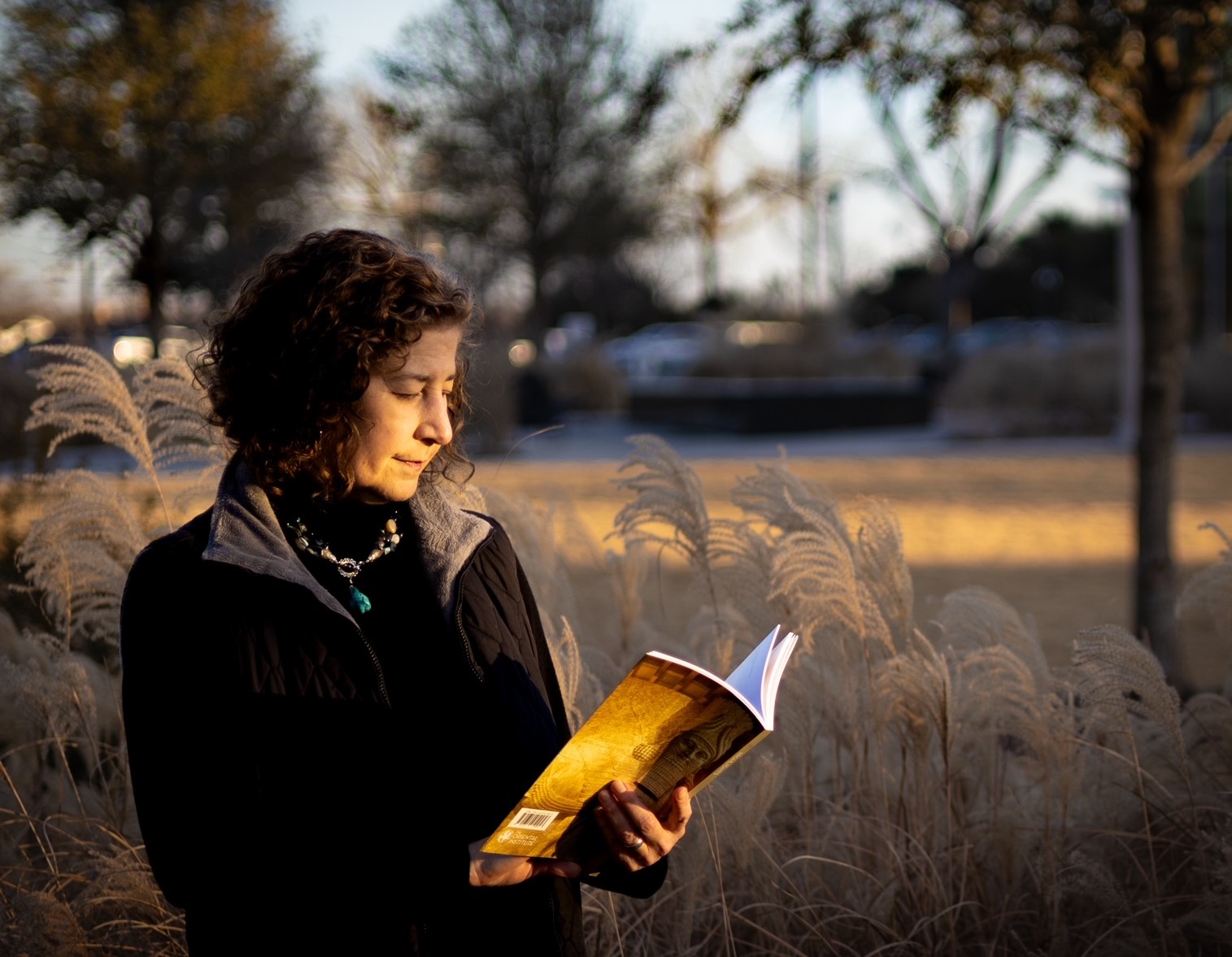 About Me – Susan Ayres